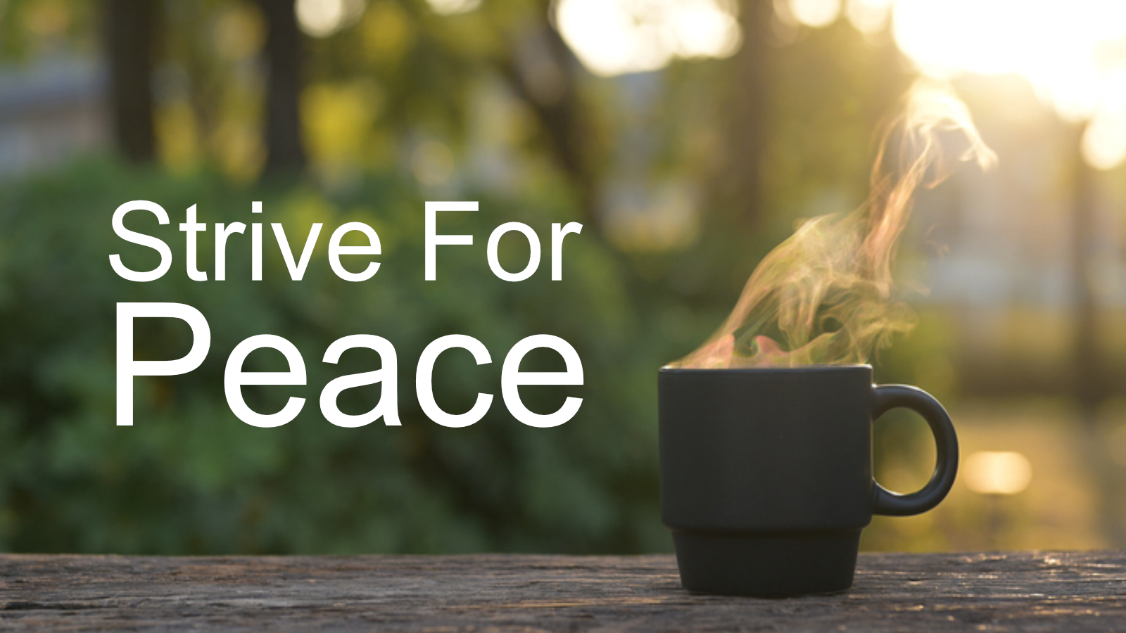 Strive For Peace - Joshua L. Mathews